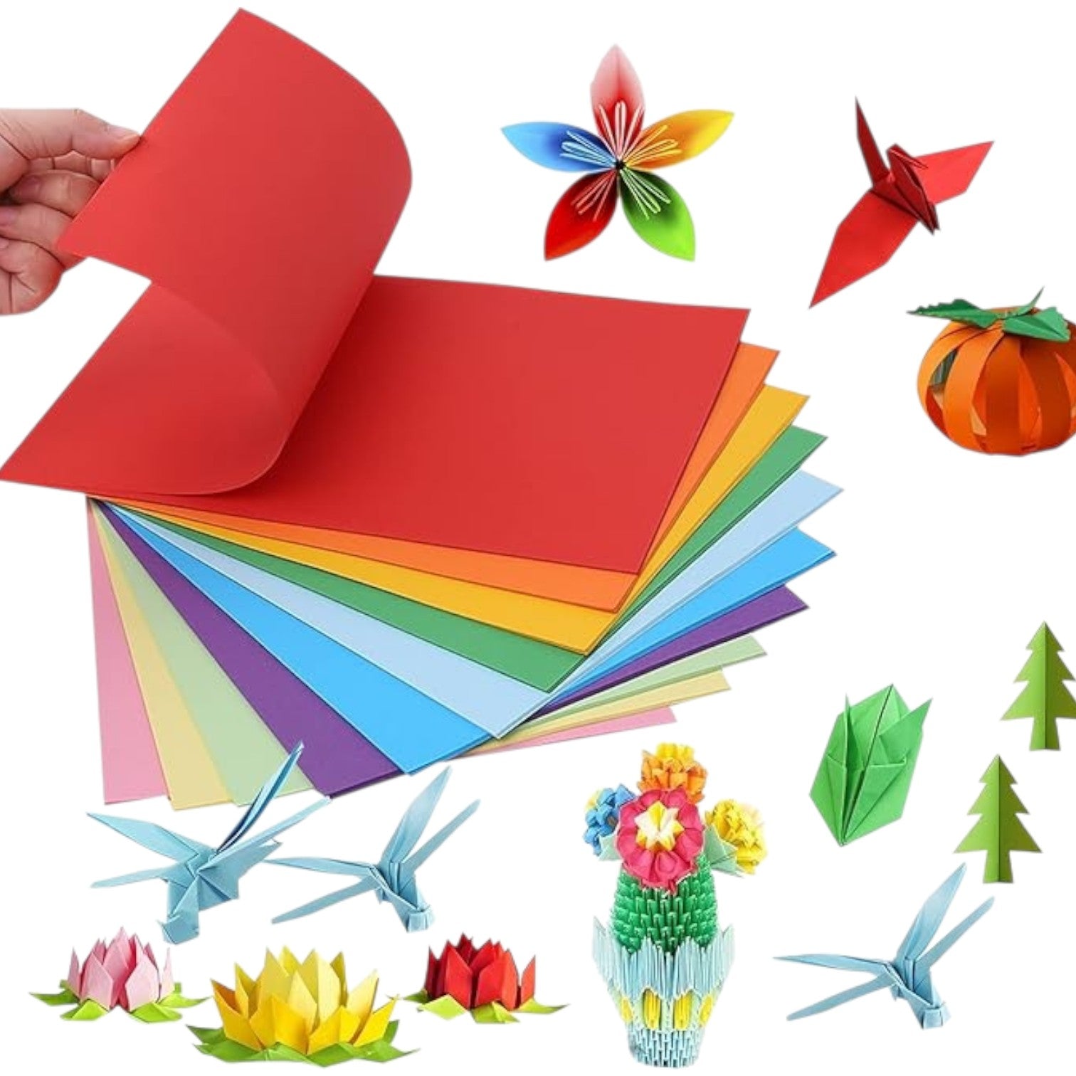 A4 Coloured Card Paper - 12 Sheets Double Sided – Elite Stationery El ...